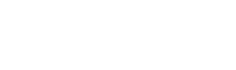 IPA – INSTITUTO PANAMERICANO DAVID